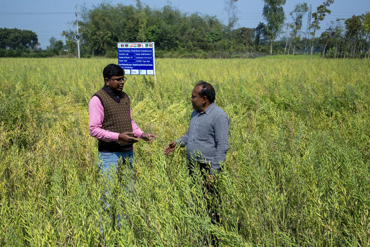 Strip Planting Technique: Transforming Conventional Agriculture to ...